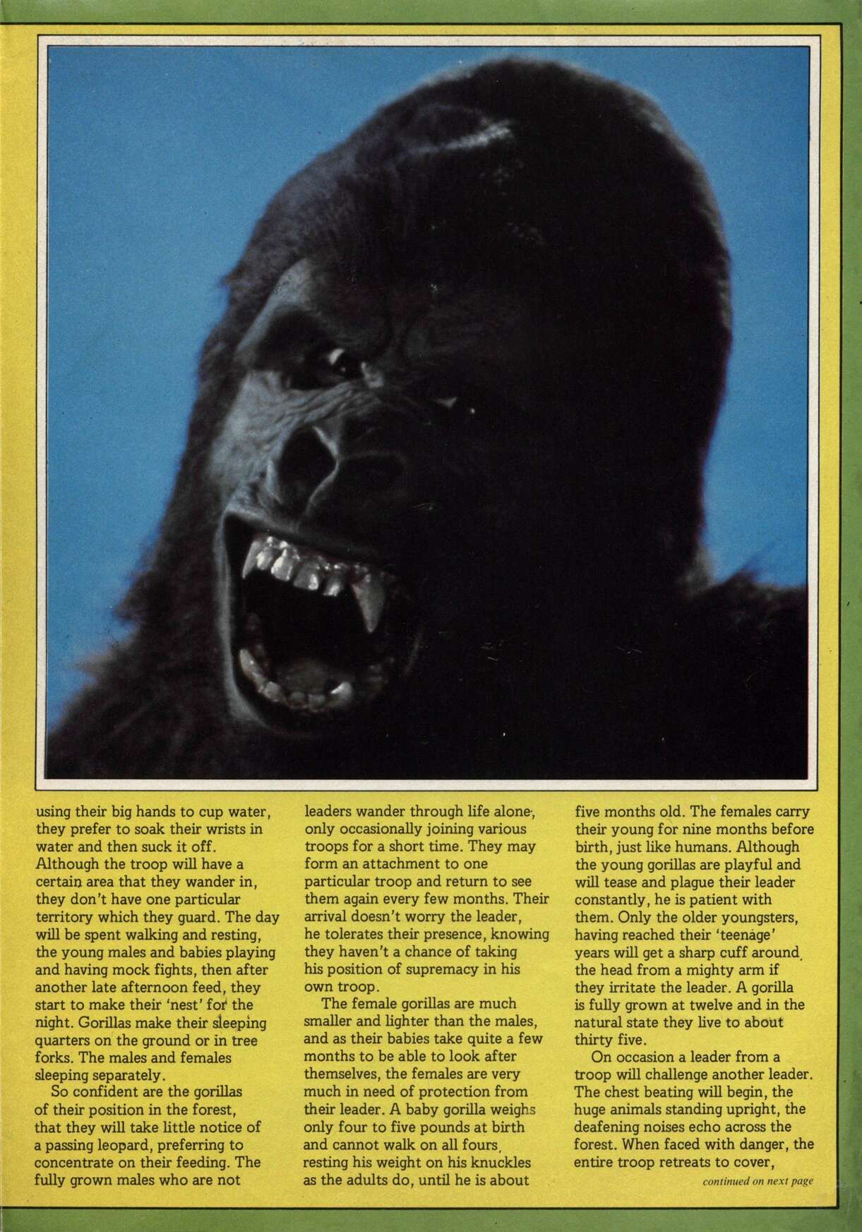 The Official King Kong Poster Magazine