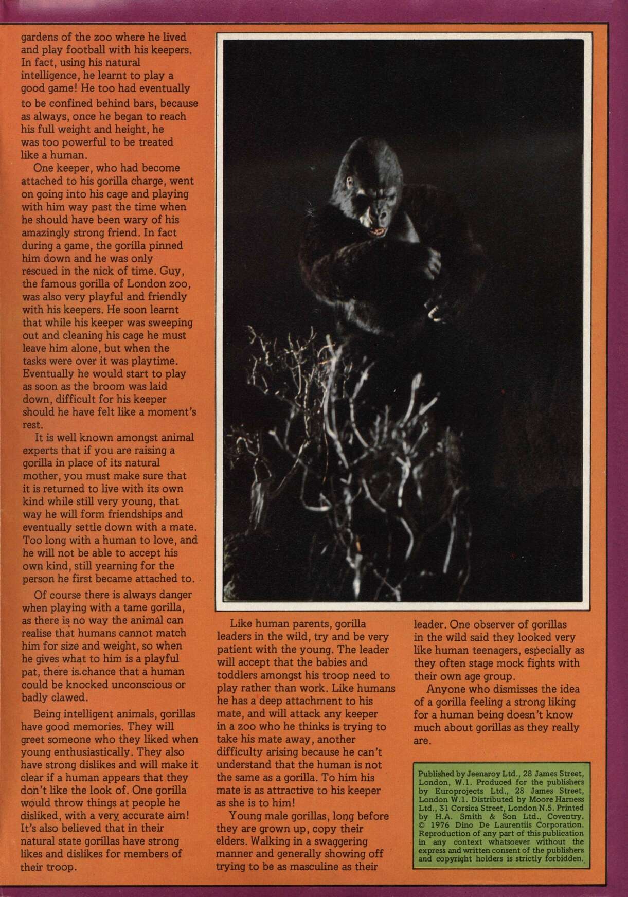The Official King Kong Poster Magazine